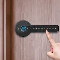 China TUYA Bluetooth Smart Handle Door Lock Anti Corrosion Fingerprint Handle Lock for sale