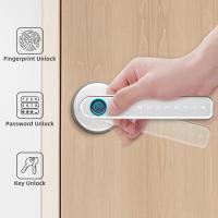 China TUYA Bluetooth Smart Handle Door Lock Anti Corrosion Fingerprint Handle Lock for sale