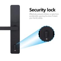 China CE Certificate Wifi Smart Lock Outdoor Smart Door Lock With Semiconductor Sensor for sale