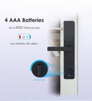 China CE Certificate Wifi Smart Lock Outdoor Smart Door Lock With Semiconductor Sensor for sale