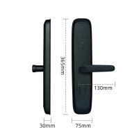 China Digital Biometric Fingerprint Handle Lock Easy Installation Wifi Smart Door Lock for sale