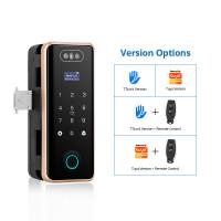 China 3D Face Recognition Digital Door Lock With Camera Fingerprint ODM for sale