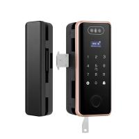 China 3D Face Recognition Digital Door Lock With Camera Fingerprint ODM for sale