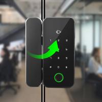 China Biometric Fingerprint Wifi Sliding Glass Door Lock ODM Double Authentication for sale