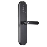 China Password Tuya Smart Door Lock Inteligent Star Gray With Magnetic Card for sale