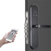 China Password Tuya Smart Door Lock Inteligent Star Gray With Magnetic Card for sale