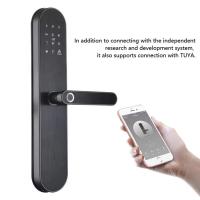 China Password Tuya Smart Door Lock Inteligent Star Gray With Magnetic Card for sale