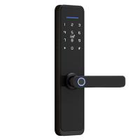 China DC6V Tuya Smart Door Lock Customized Logo Keyless Smart Lock for sale
