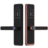 China Security Tuya Biometric Fingerprint Lock Compatible For Apartments Office for sale