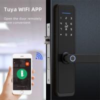 China Security Tuya Biometric Fingerprint Lock Compatible For Apartments Office for sale
