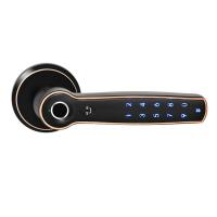 China CE Smart Handle Lock for sale
