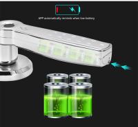 China Electronic Wireless Smart Handle Door Lock Tuya Ttlock APP Fingerprint Password for sale