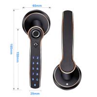 China Electronic Wireless Smart Handle Door Lock Tuya Ttlock APP Fingerprint Password for sale