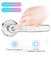 China Electronic Wireless Smart Handle Door Lock Tuya Ttlock APP Fingerprint Password for sale