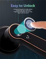 China CE Smart Handle Lock for sale