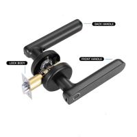 China ROHS Smart Handle Door Lock DC 6V Zinc Alloy Electronic For Apartments for sale