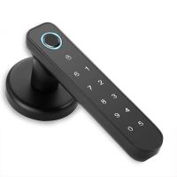 China ROHS Smart Handle Door Lock DC 6V Zinc Alloy Electronic For Apartments for sale