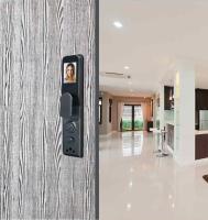 China Digital Password Smart Door Lock Keyless Smart Lock With Tuya Wifi for sale