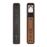 China 3D Face Recognition Smart Camera Door Lock Biometric With Tuya App for sale