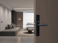 China Security Keyless Digital Entry Door Lock CE Matt Black For Home for sale
