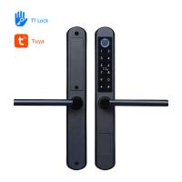 China Compatible Digital Front Door Lock OEM 20mm Outdoor Smart Lock for sale