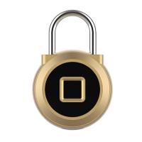China 40mm Smart Outdoor Padlock Bluetooth Cutomized Logo Outdoor Wifi Gate Lock for sale