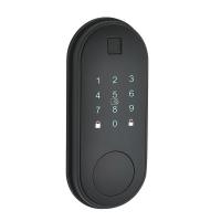 China Aluminum Smart Home Door Lock Anti Theft Sliding Door Smart Lock for sale