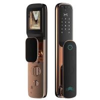 China Face Recognition Fingerprint Door Lock Gold Biometric Gate Lock for sale