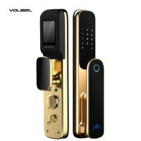 China Face Recognition Fingerprint Door Lock Gold Biometric Gate Lock for sale