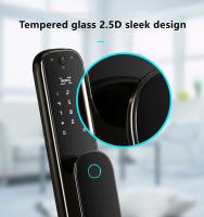 China Face Recognition Fingerprint Door Lock Gold Biometric Gate Lock for sale