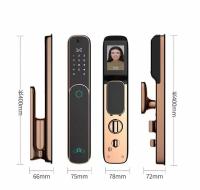 China Face Recognition Fingerprint Door Lock Gold Biometric Gate Lock for sale