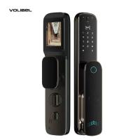 China Face Recognition Fingerprint Door Lock Gold Biometric Gate Lock for sale