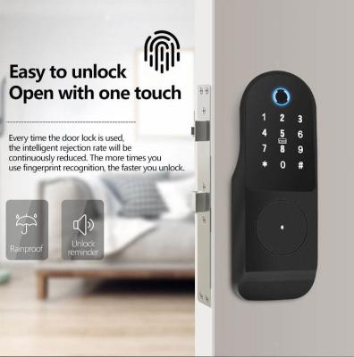 China Security Fingerprint Smart Door Lock DC6V Black Nickel For Apartment for sale