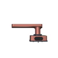 China Wifi Tuya Fingerprint Deadbolt Lock Biometric Gate Lock For Apartments for sale