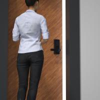 China 180mm Smart Deadbolt Door Lock Tuya Version Fingerprint Handle Lock for sale