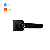 China Waterproof Commercial Smart Lock ODM Biometric With Reversible Handle for sale