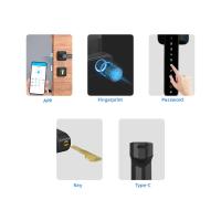 China Wifi Password Electronic Smart Door Lock Keyless Tuya Smart Lock for sale