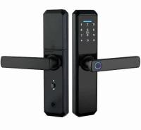 China Keyless Commercial Smart Lock SDK Network Home Assistant Door Lock for sale