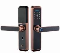 China Keyless Commercial Smart Lock SDK Network Home Assistant Door Lock for sale