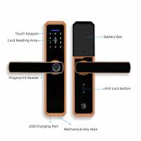 China Keyless Commercial Smart Lock SDK Network Home Assistant Door Lock for sale