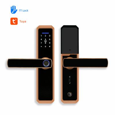 China Keyless Commercial Smart Lock SDK Network Home Assistant Door Lock for sale