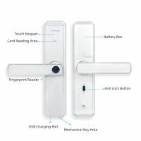 China Mirror Panel Fingerprint Smart Door Locks 6V Passcode House Lock for sale