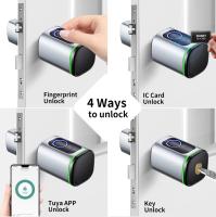 China Tuya Ttlock Smart Cylinder Door Lock Biometric Euro Standard Electronic Fingerprint Smart Card Unlock for sale