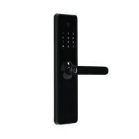 China Wifi Tuya App Unlock Digital Smart Door Lock With Camera Fingerprint Password for sale