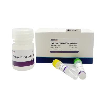 China High Reaction Sensitivity Real Time PCR Reaction Premix System PCR EasyTM-SYBR Green Ⅰ for sale