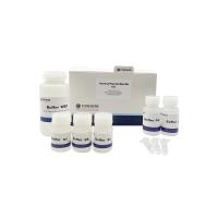 China Lab Reagent General Plasmid Mini DNA Isolation Kit No RNase Contamination for sale