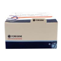 China Reagent Kits RT EasyTM I Master Premix For First Strand CDNA Synthesis for sale