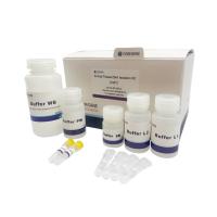 China Fast Genomic DNA Purification Lab Reagent Animal Tissue DNA Isolation Kit No RNase Contamination for sale