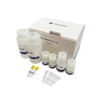 China Genomic DNA Purification Lab Reagent Blood DNA Mini Kit DNA Isolation Kits for sale