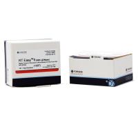 China RT Easy II Master Premix For First Strand CDNA Synthesis With GDNase for sale